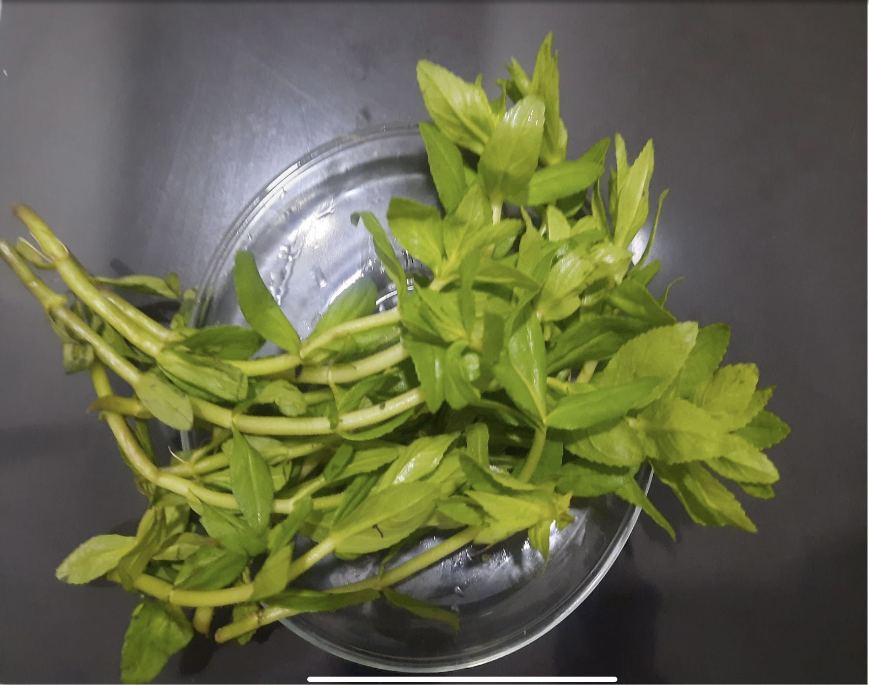 Best herbs in vegetarian Khmer food - Dine With The Locals